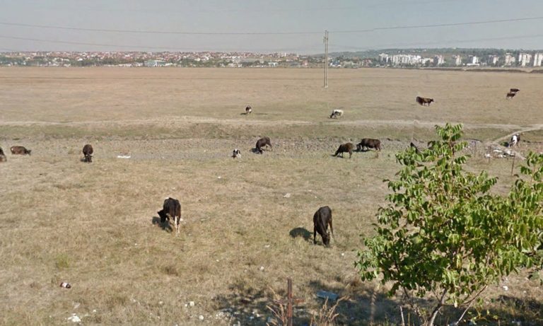 Am câștigat șes Bahlui, ce facem cu el?/Ce prevede PUG-ul? » Apix.ro