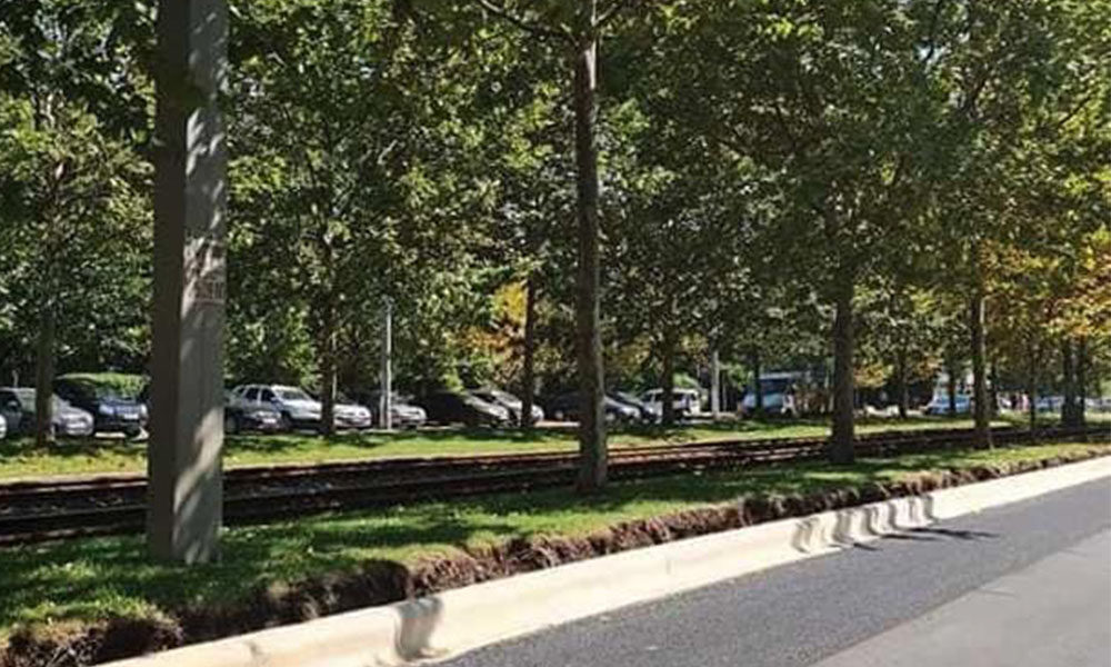 O idee pornită din societatea civilă prinde contur: vor fi plantați ...