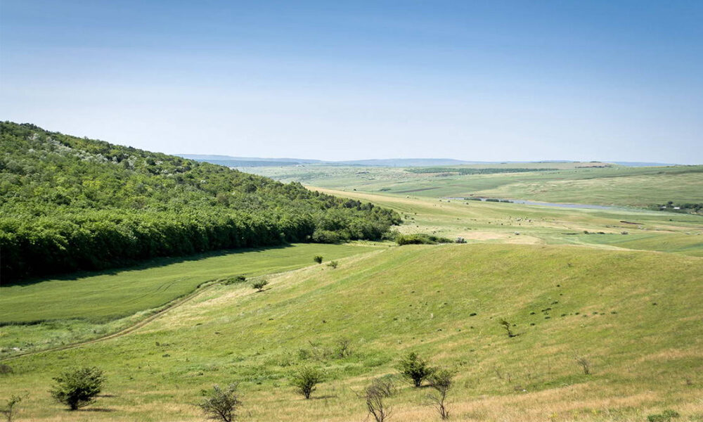 Pădurea Breazu: investiție de amploare pe un teren de aproape 4 hectare