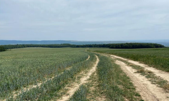 Proiectele eoliene iau avânt în județ: un nou parc, cu 9 turbine, la ...