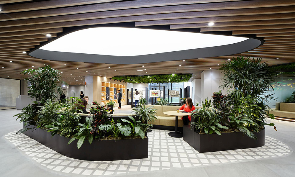 Palas Campus și-a deschis porțile: investiție de 120 milioane de euro ...