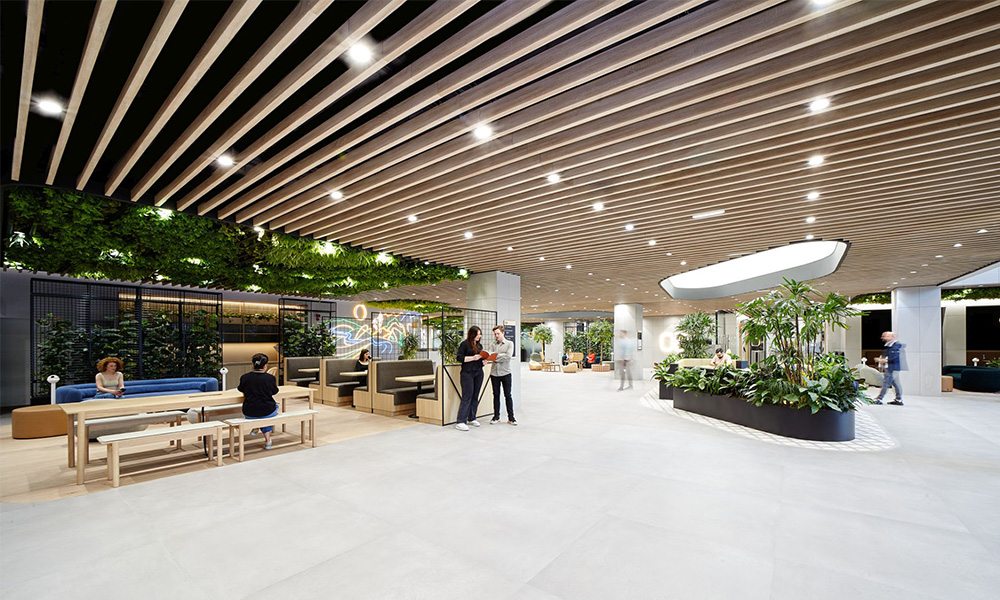 Palas Campus și-a deschis porțile: investiție de 120 milioane de euro ...