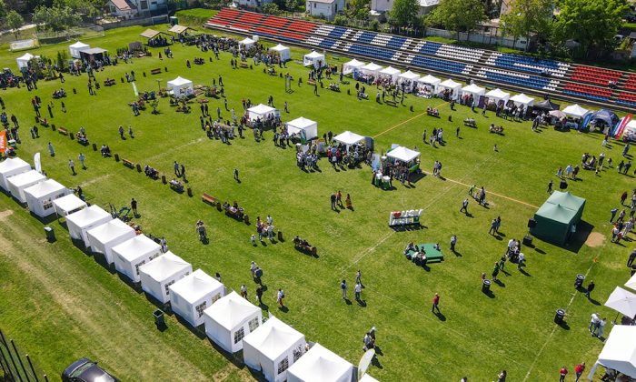 Garden Fest by USV Iași – grădini urbane pe Arena Universității de ...
