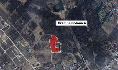 Un complex de vile va fi construit lângă Grădina Botanică: proiectul a ...